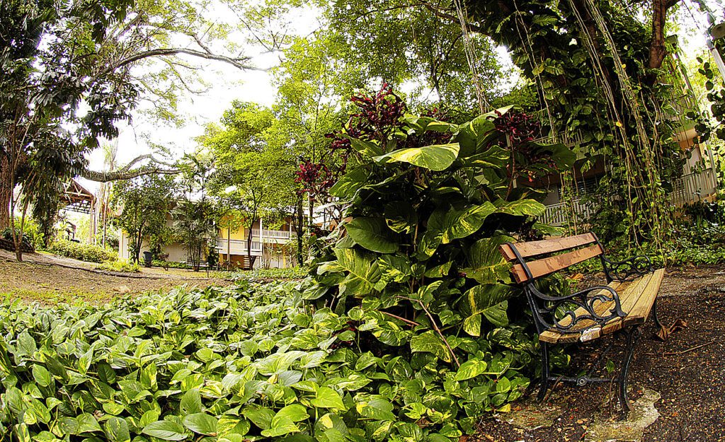 COAMO – Discover the Beauty and Culture of Puerto Rico Town of Coamo