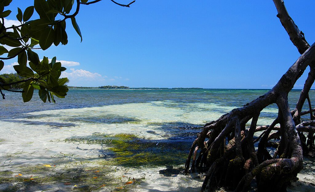 GUÁNICA – Discover the Beauty and Culture of Puerto Rico Town of Guánica